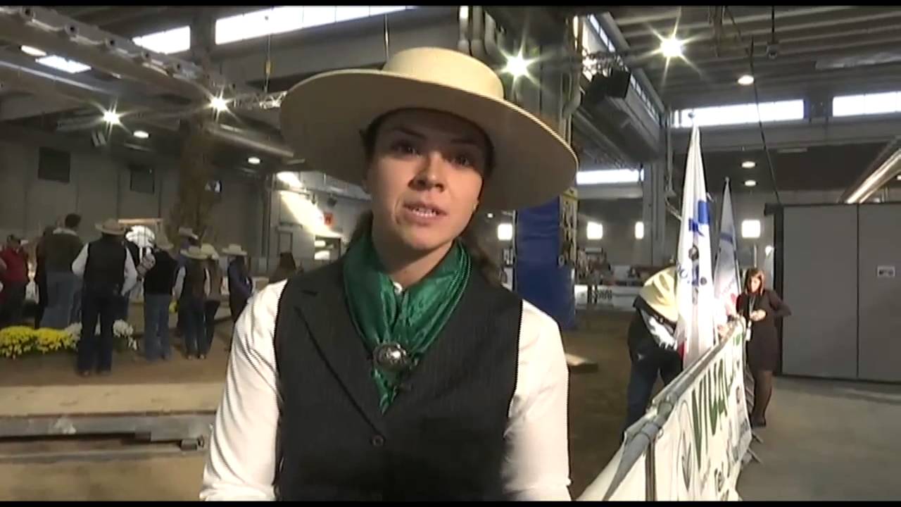 OE#52 - Anna Tommasin | Fieracavalli Verona 4-8 Novembre 2015 - YouTube