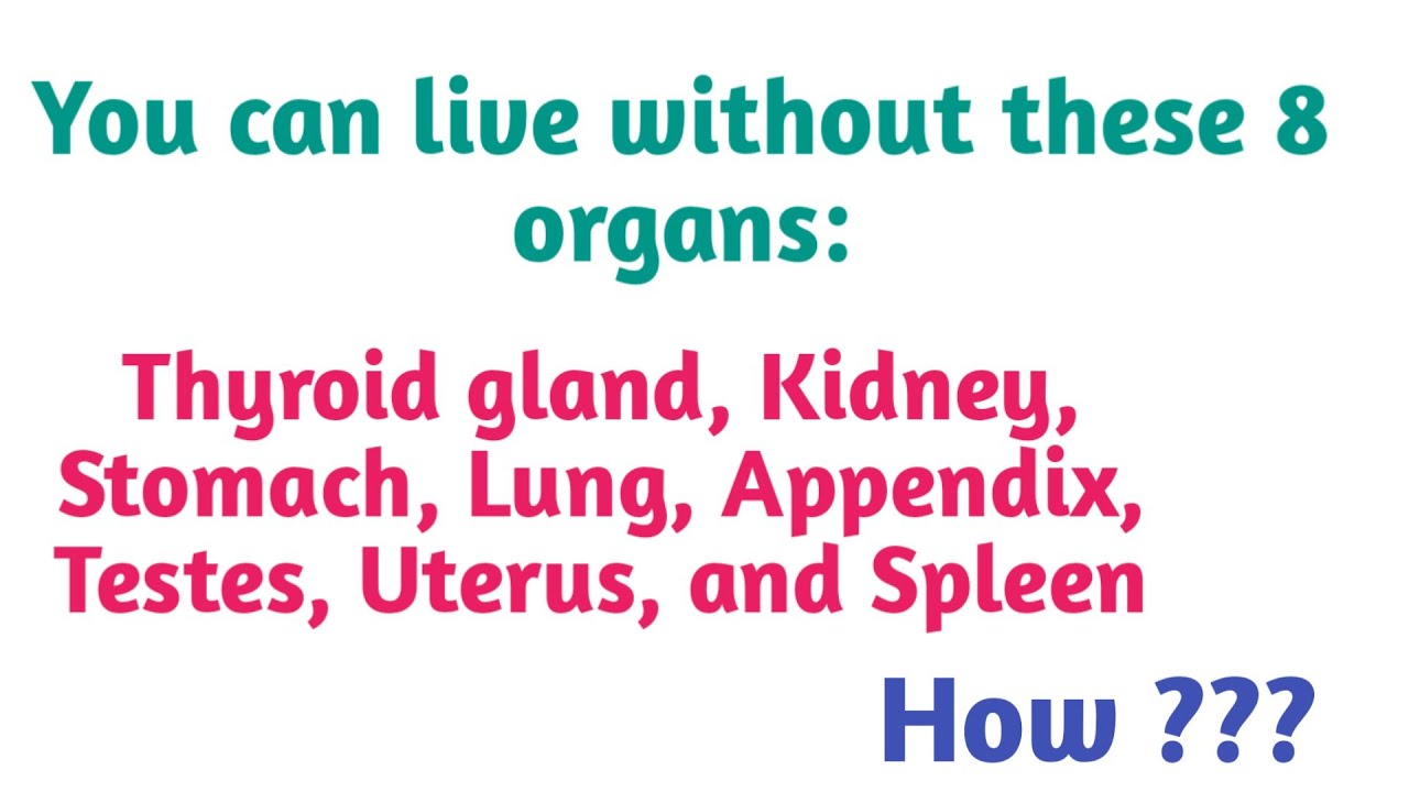 You Can Live Without These 8 Organs Thyroid Kidney Stomach Lung you-can-live-without-these-8-organs-thyroid-kidney-stomach-lung