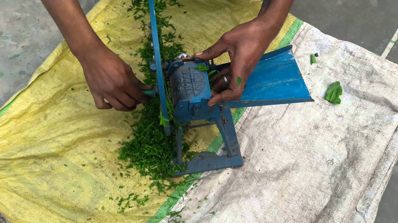 Saag Cutter Machine by BM Agritech - YouTube