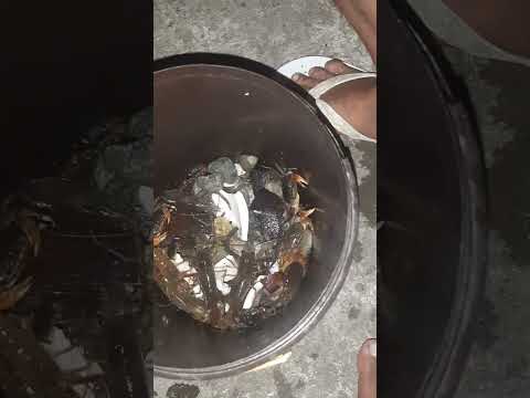 uwang para naa sud an - YouTube