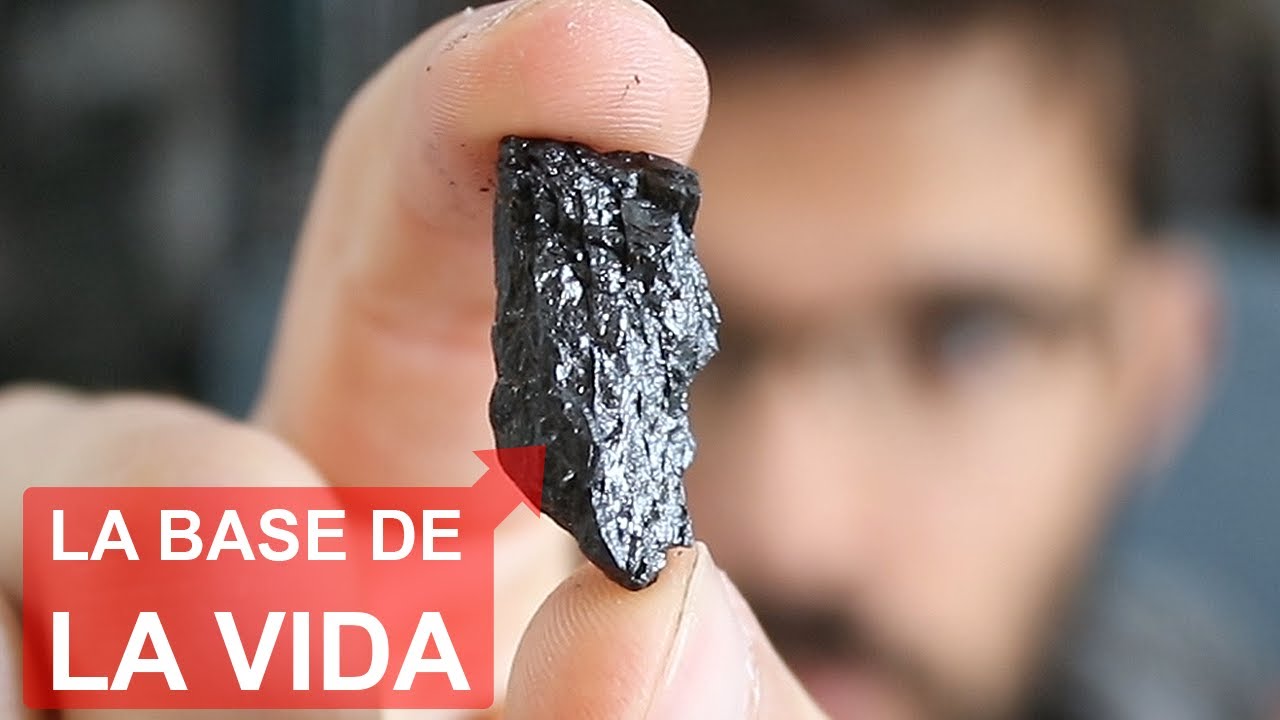 Tabla Periódica | El CARBONO, el elemento IMPRESCINDIBLE para la VIDA ...