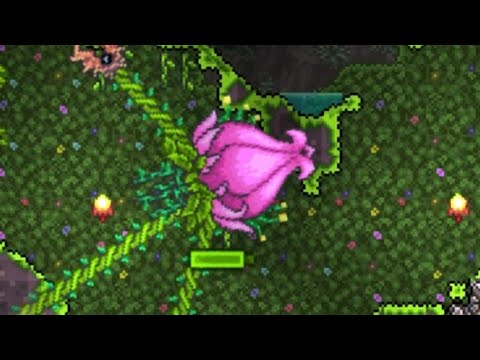 Just Plantera fight - YouTube