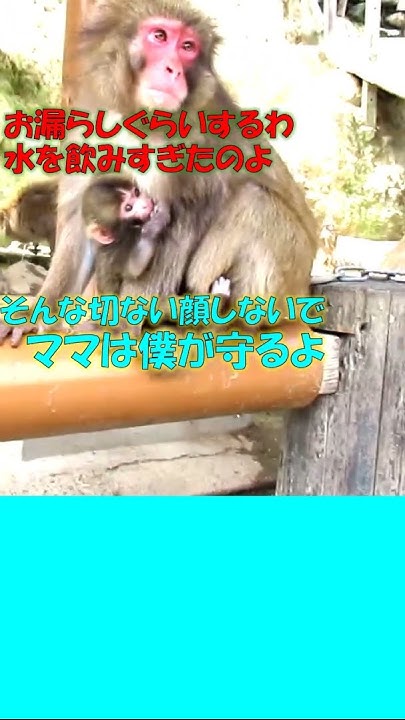 ママは僕が守るよ Shorts Youtube