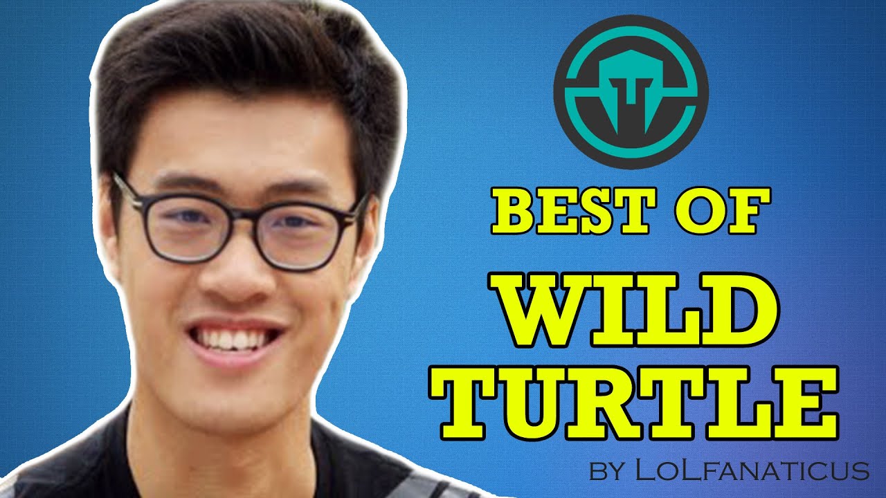 Best of WildTurtle | NA LCS Spring Split 2016 - YouTube