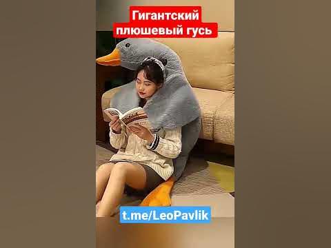 Гигантский плюшевый гусь - YouTube