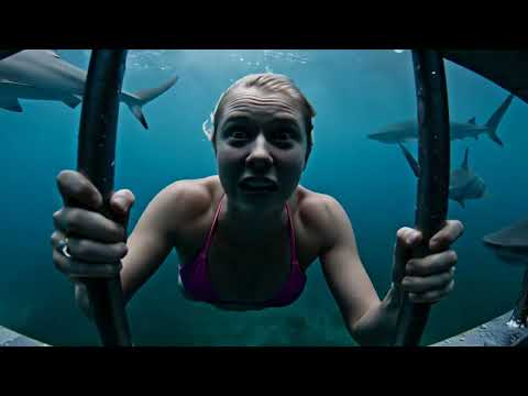 Shark cage #shark #sharks #diving #aigirl #veo3 #aigirl