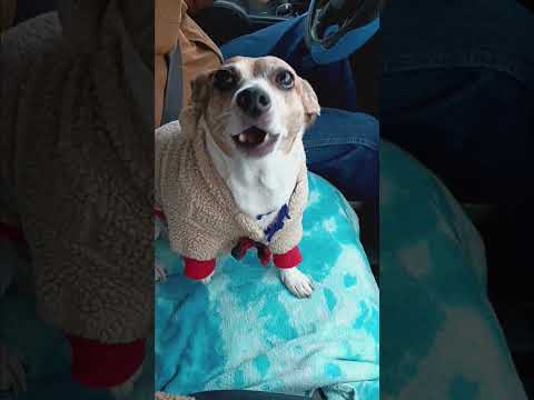 I get so excited, I cry.😅🤣😂 - YouTube