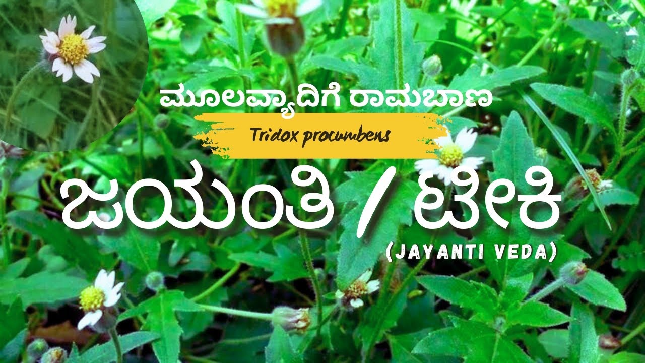 jayanti veda | small flower | coat button | natural flower crown| - YouTube