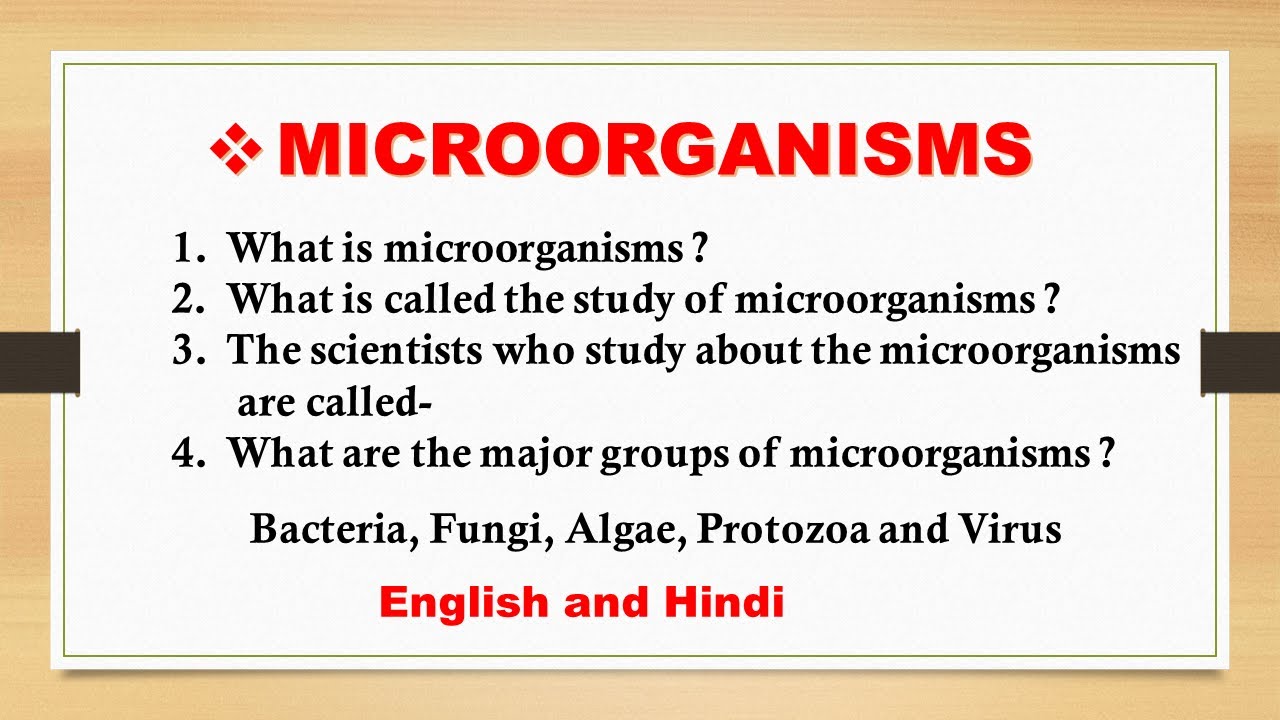 What is microorganisms ? definition/Hindi/English Major groups of ...