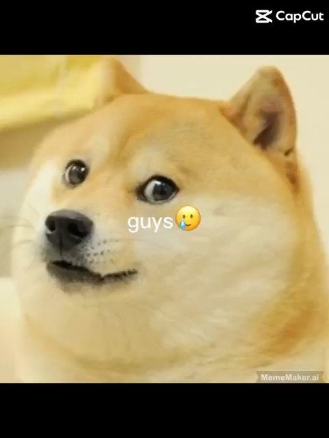 I am a pancake - YouTube