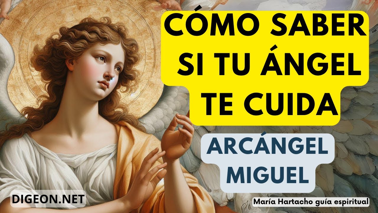 💌MENSAJE DE LOS ÁNGELES PARA TI -DIGEON- Tu Ángel te CUIDA- Arcángel ...