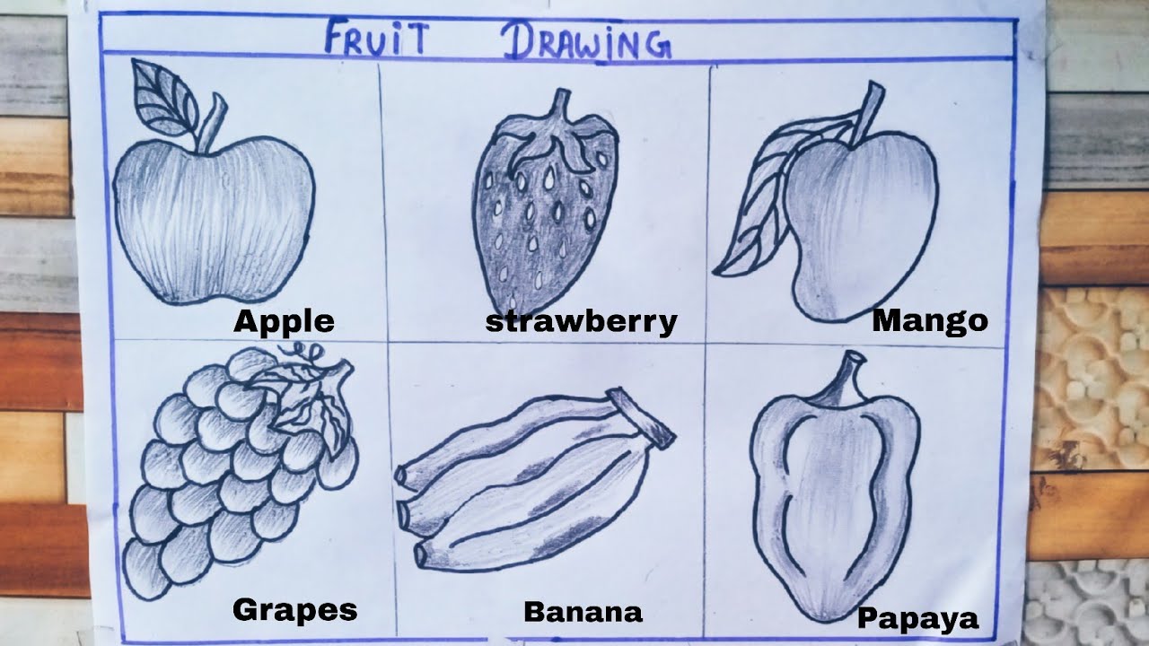 Different types of fruit drawing easy|how to draw different type of ...