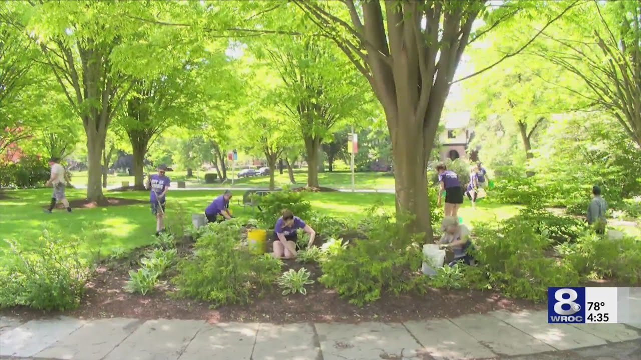 Annual Day of Caring at United Way of Greater Rochester - YouTube