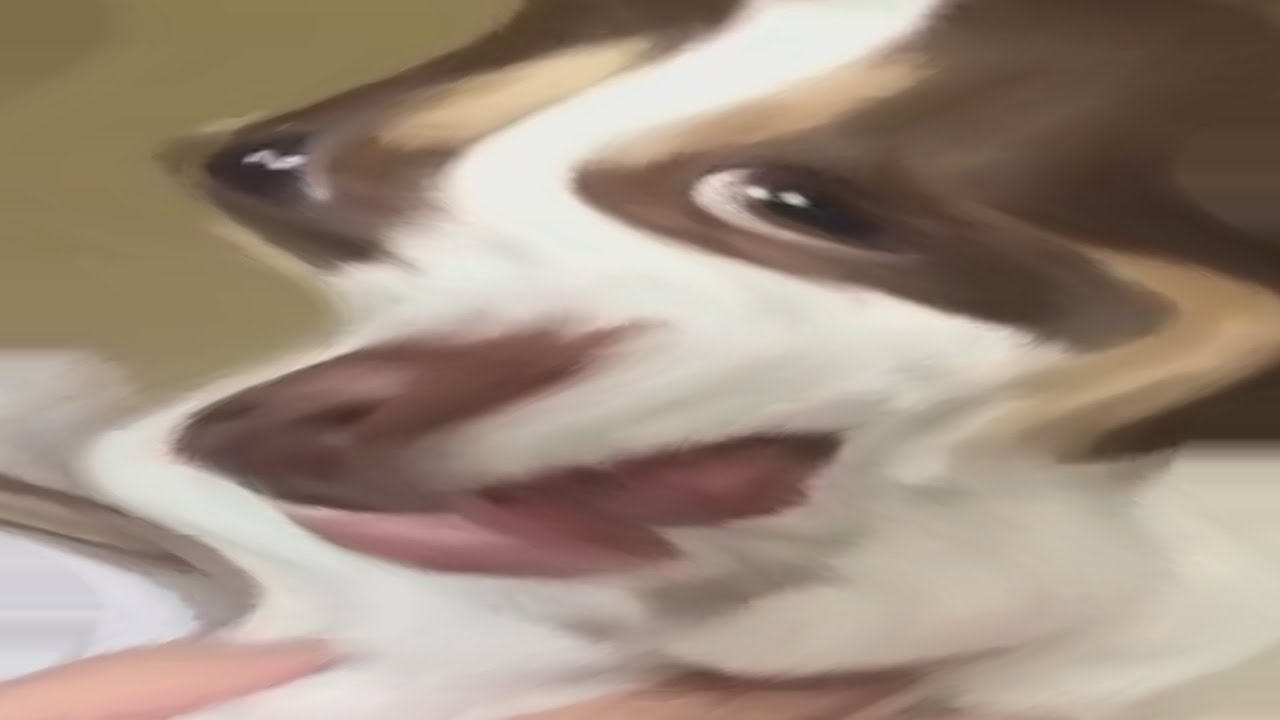 I GOTCHU ON CAMERA BUT GLITCHED - YouTube