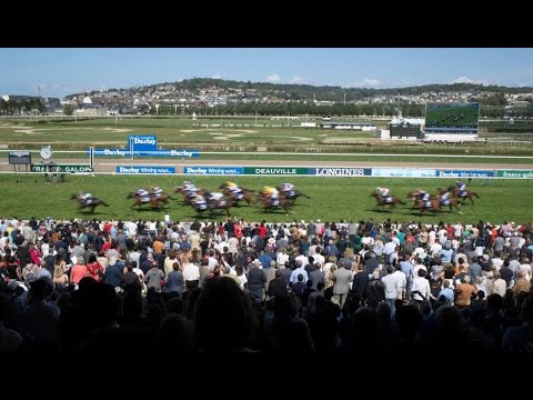 【PAU TURF】 FRENCH HORSE RACE ANALYSIS - YouTube