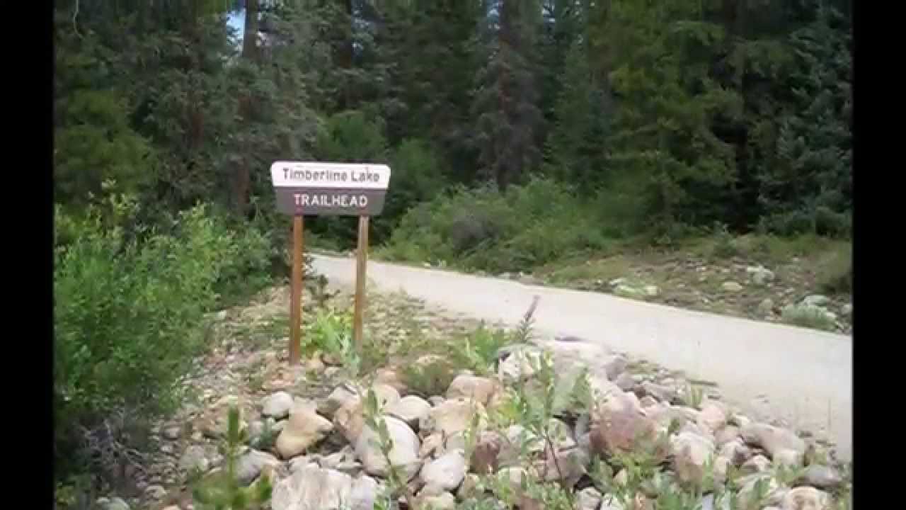 Fishing Greenback Cutthroat Trout at Timberline Lake, Colorado - YouTube