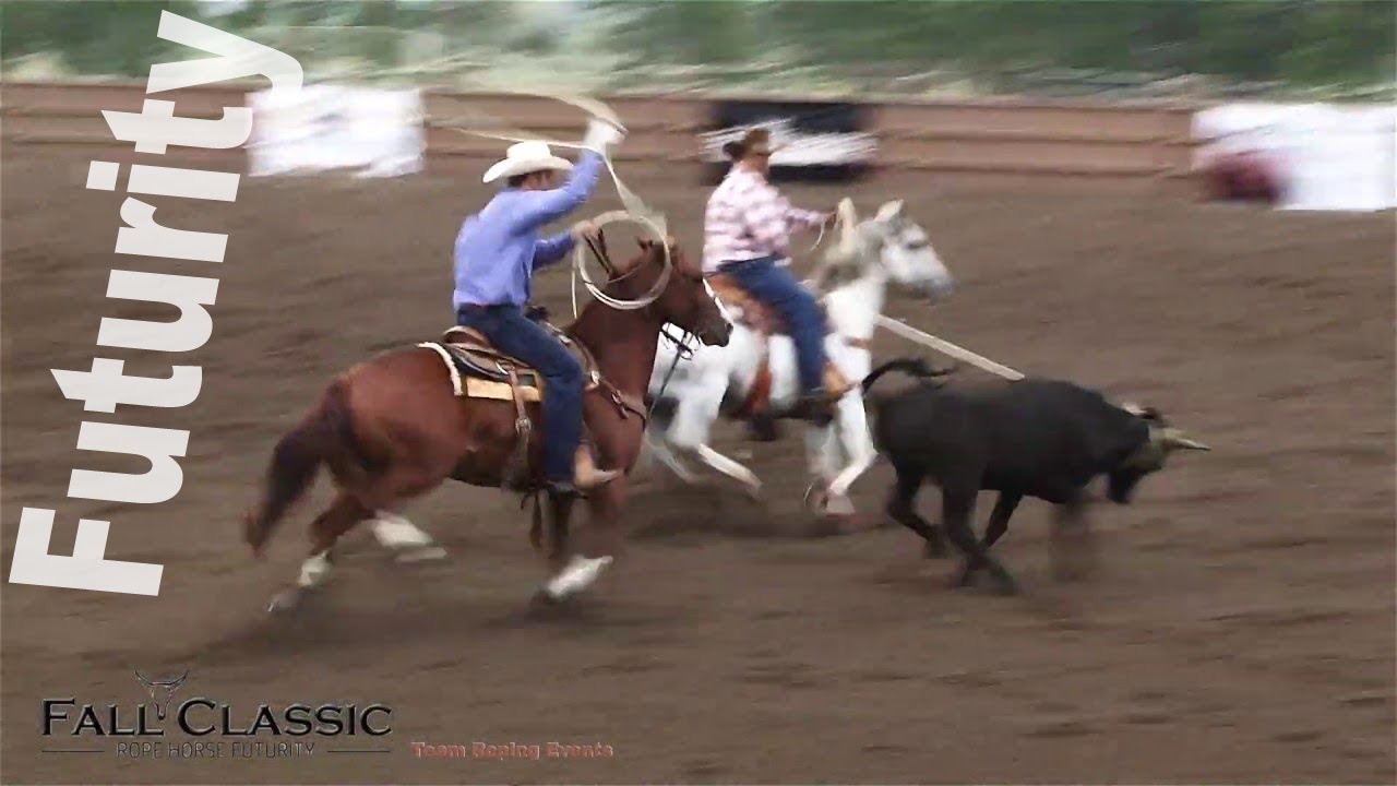 Pekisko Shesa Robin- Fall Classic Rope Horse Futurity ridden by Spencer ...