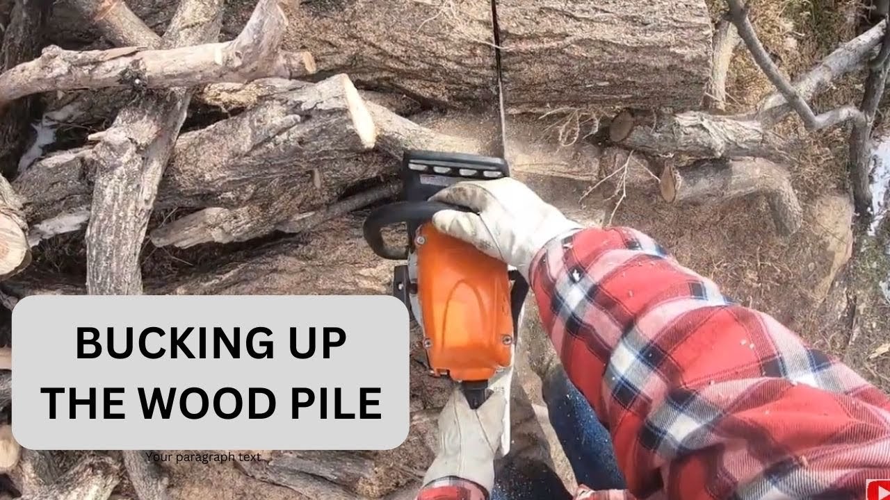 Bucking up the Wood pile with the MS 251 WOODBOSS!! - YouTube