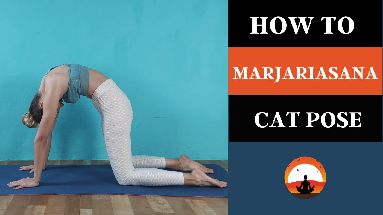 Yoga Marjariasana Pose | How to do The Cat Pose | Improve Posture and ...