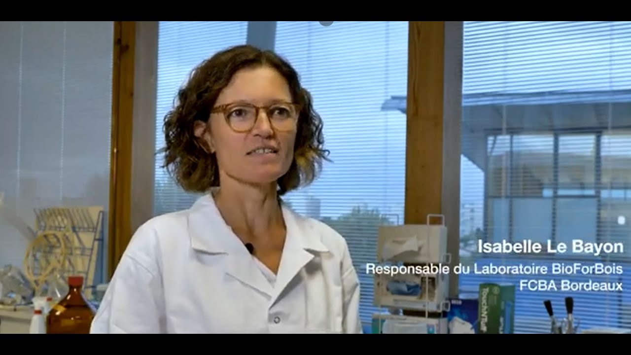 En immersion avec FCBA #2 Laboratoire BioForBois - YouTube
