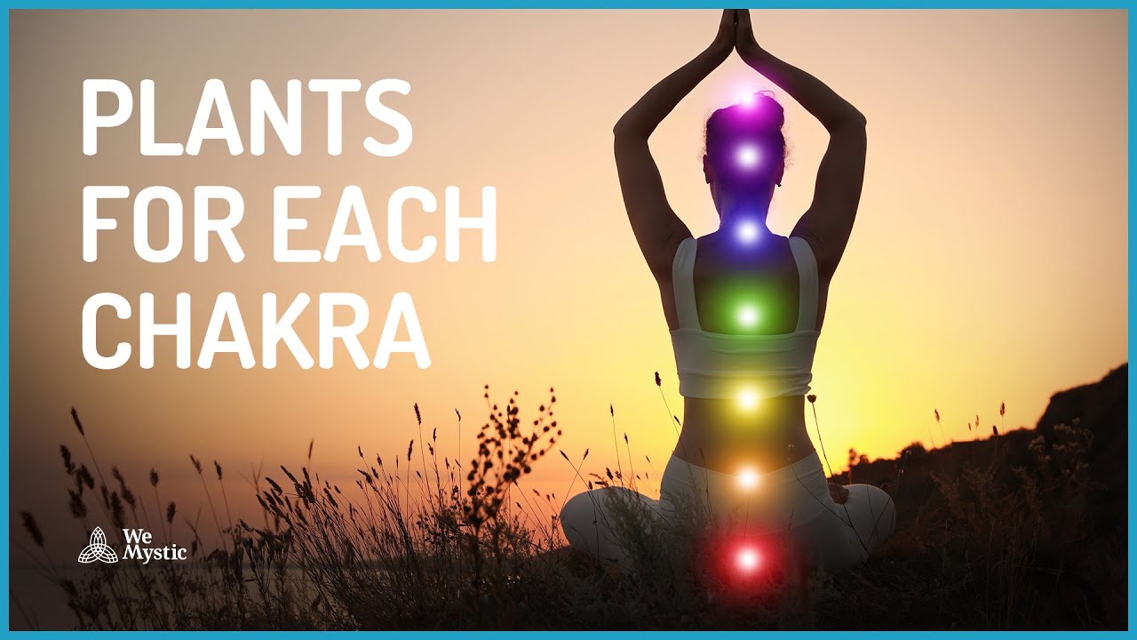 Plants for each Chakra - YouTube