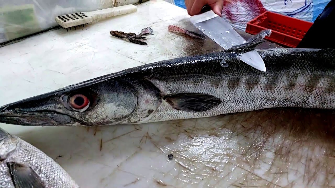 Deboning Barracuda and Cutting Fillets For Grilling - YouTube