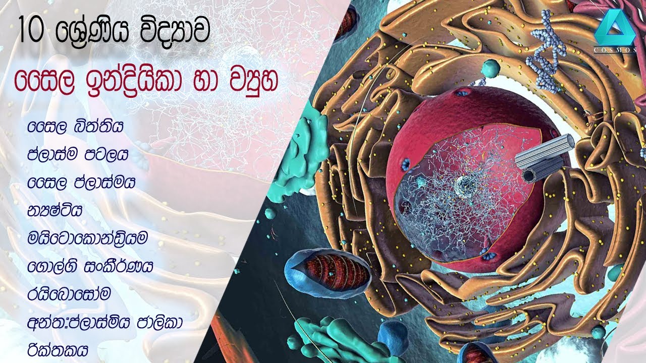 සෛල ඉන්ද්‍රියිකා හා ව්‍යුහ/10 ශ්‍රේණිය විද්‍යාව /Grade 10 Science /Cell ...