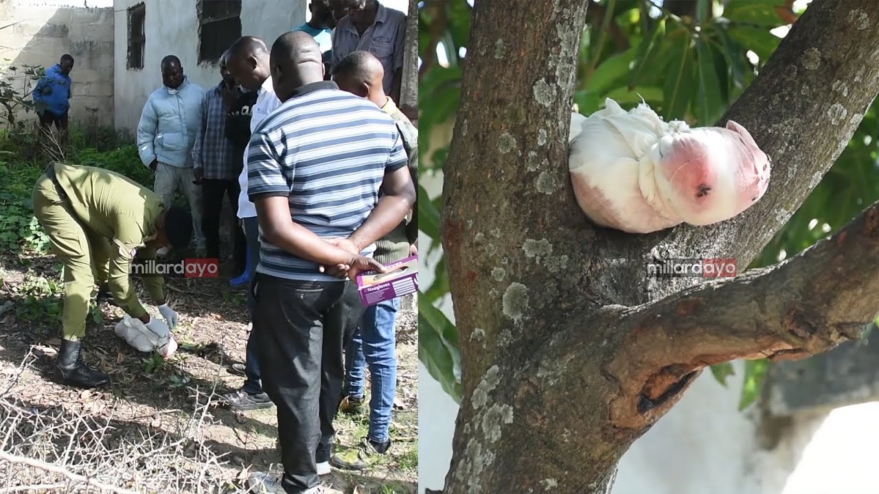 MTOTO WA MBUZI ACHUNWA, AFUNGWA SANDA NA KUTUNDIKWA JUU YA MUEMBE AZUA ...