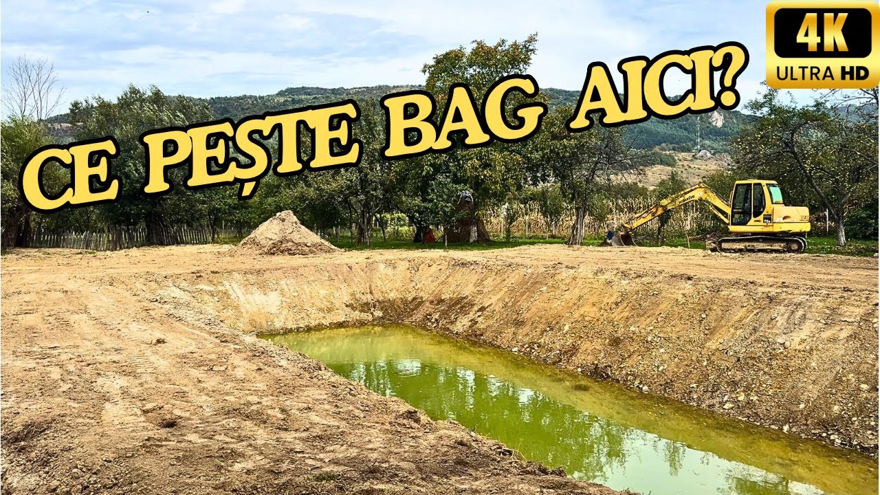 Mi-am făcut BALTĂ de PEȘTE acasă |4K|. - YouTube