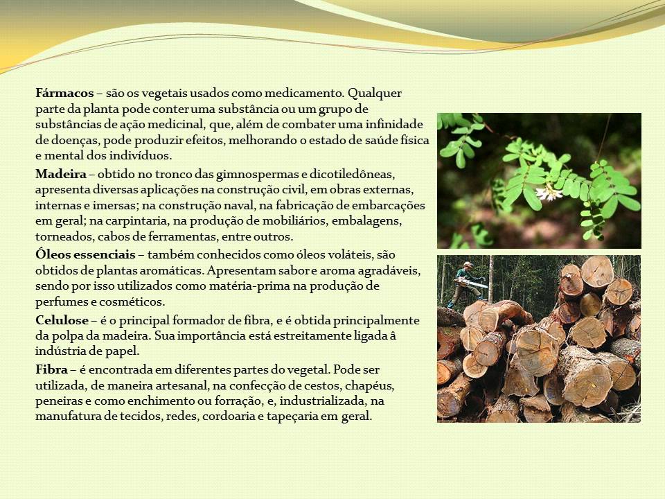 Extrativismo Vegetal - YouTube