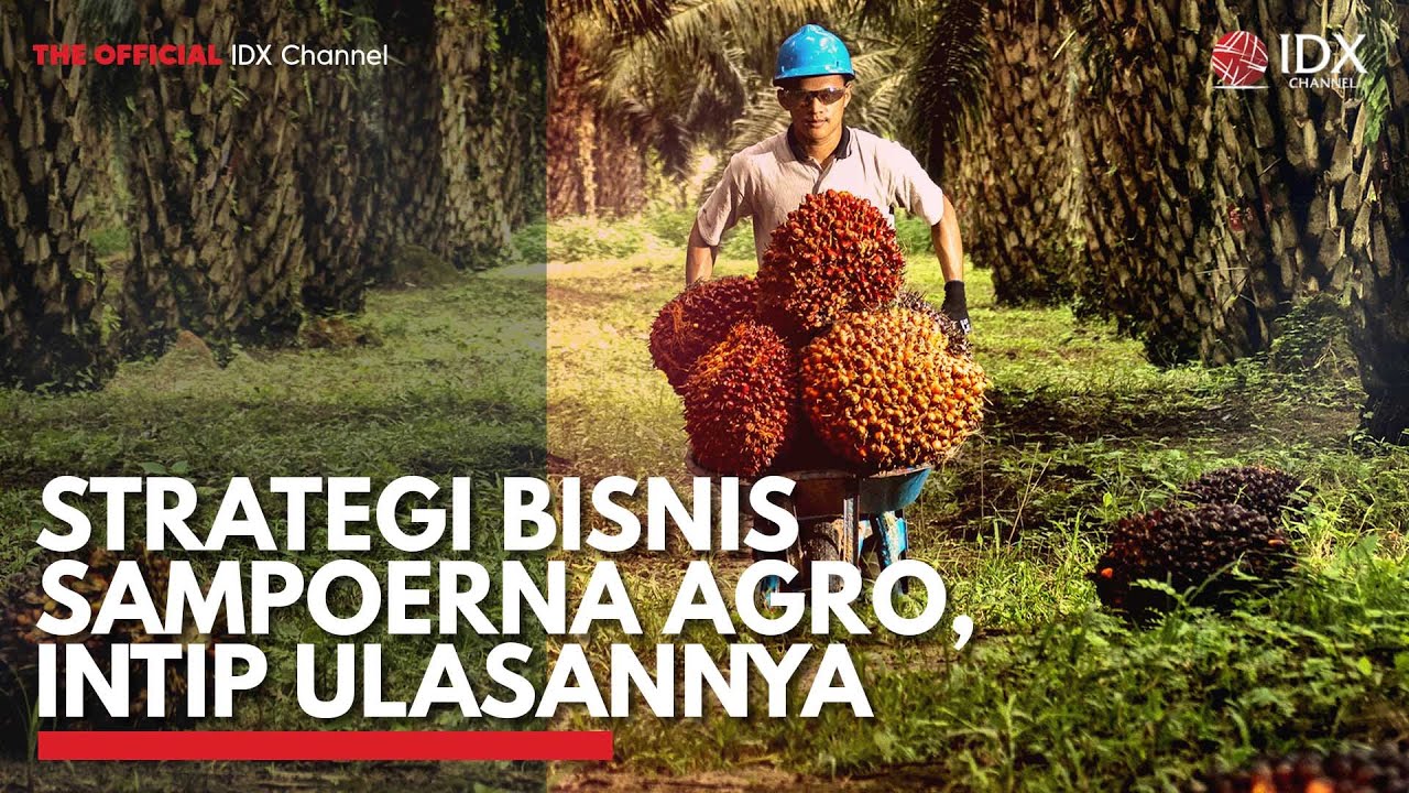 Strategi Bisnis Sampoerna Agro, Intip Ulasannya | IDX CHANNEL - YouTube