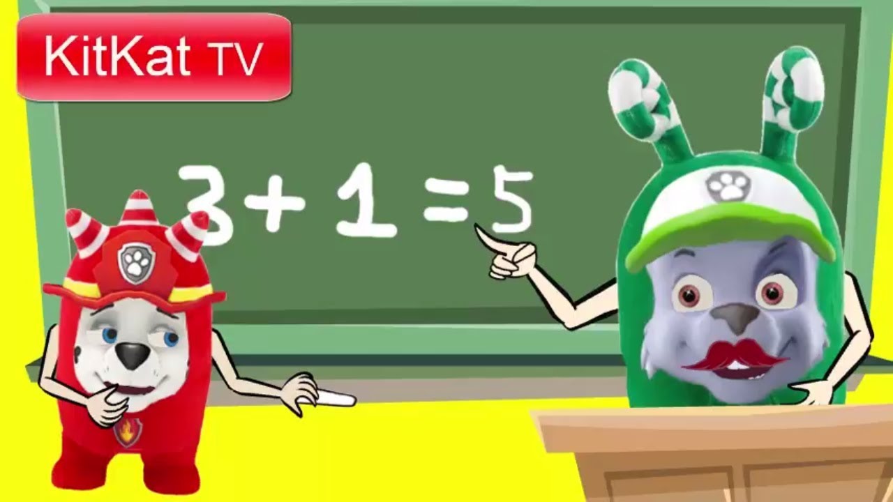 STUDY MATH: Paw Patrol Back to School in Math lesson | Bird Song | Full ...
