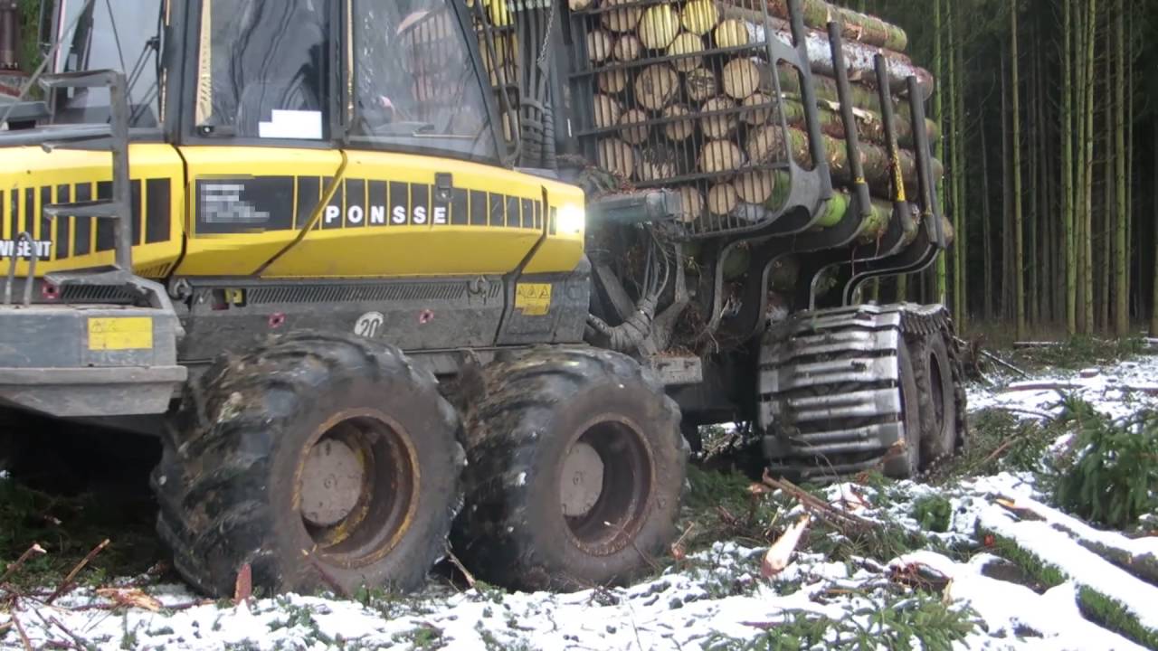 Ponsse Wisent Kahlhieb - YouTube