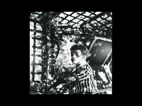 Vampire Rodents – Noises In The Wall (2017, File) - Discogs