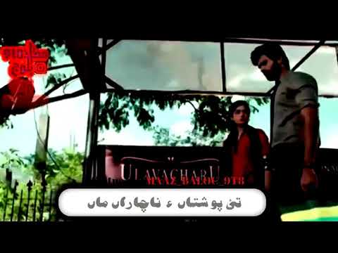 New whatsapp status irani song