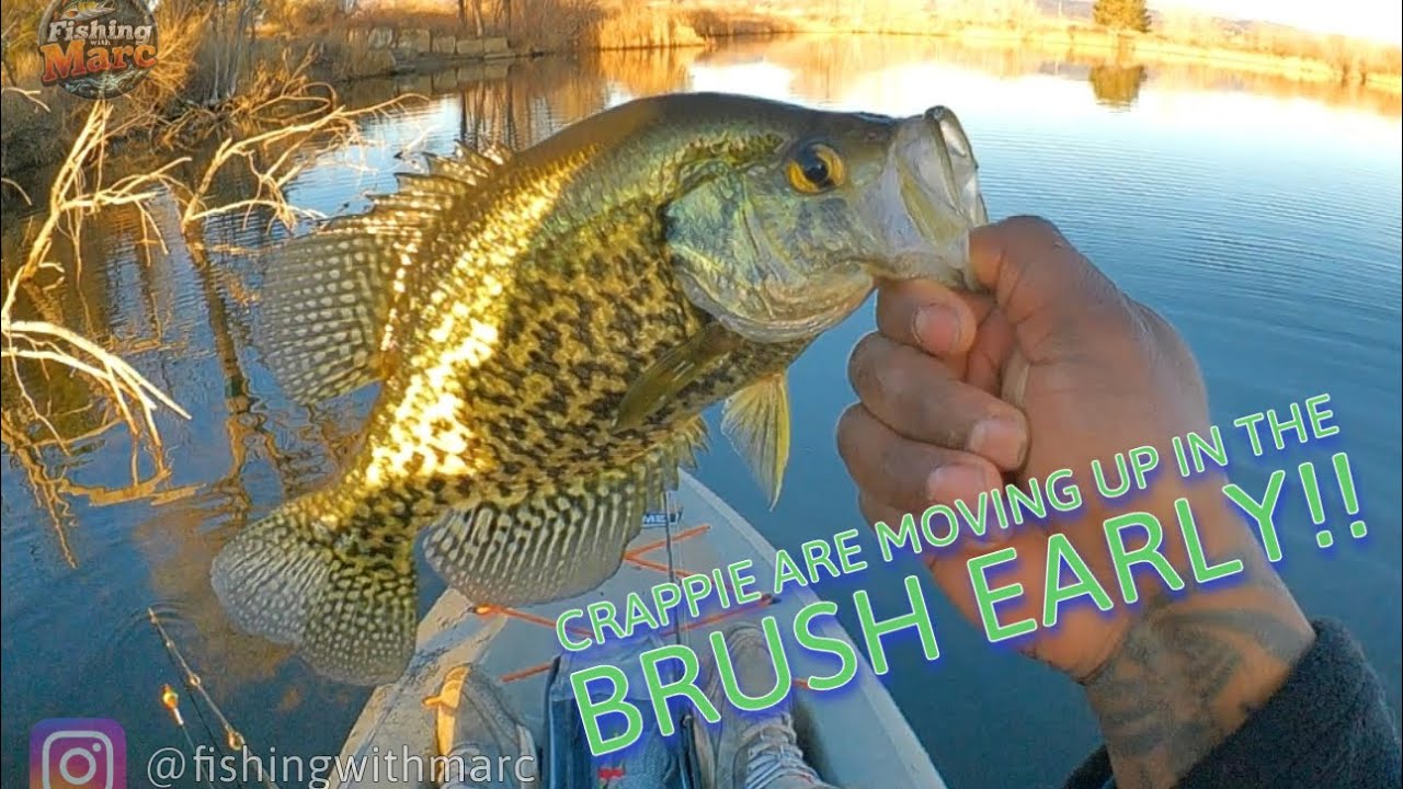 Early SPRING CRAPPIE Fishing the Fallen Trees (Kayak Fishing) - YouTube