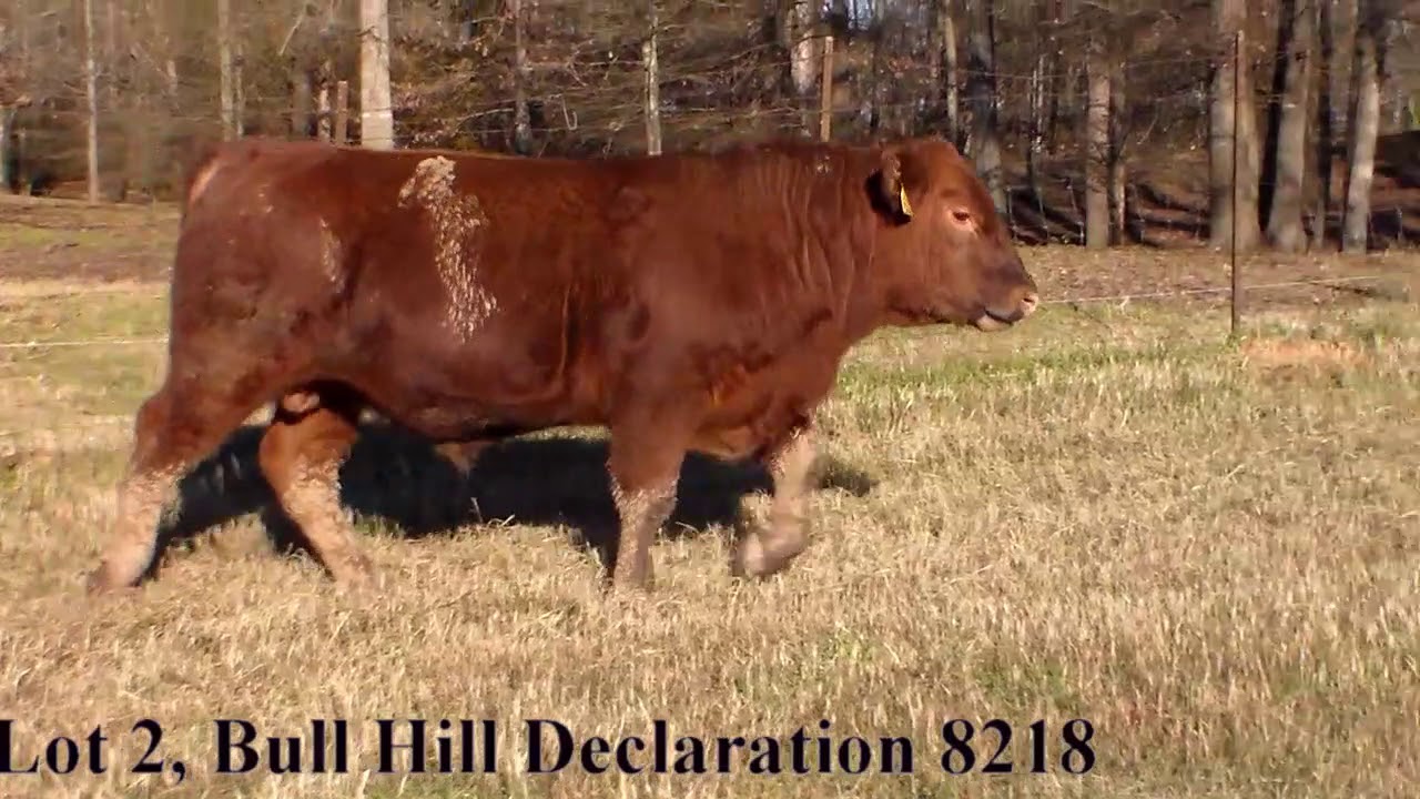 Lot 2, 8218 - YouTube