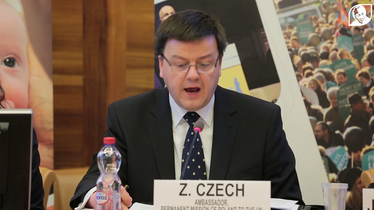 H.E. Mr. Zbigniew Czech at the United Nations - YouTube