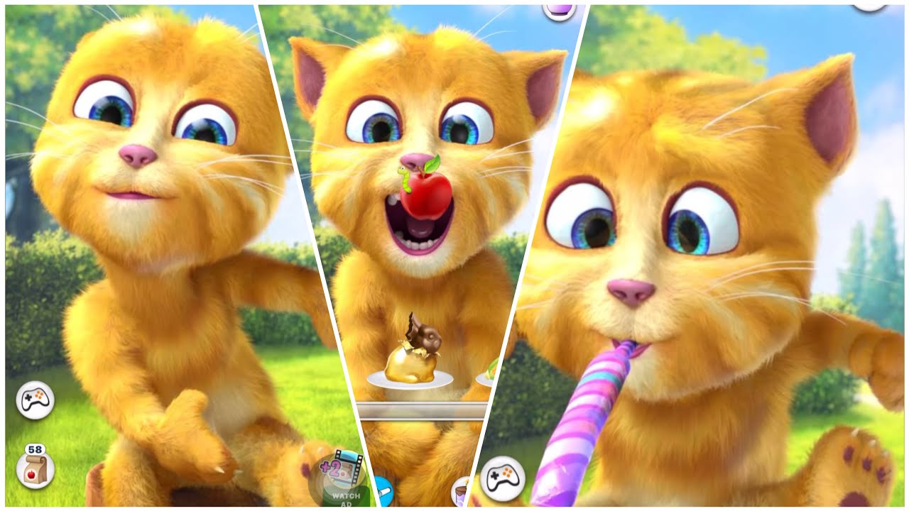Let’s play talking ginger cat & watch its highlights together 💨😅😇🤪 ...