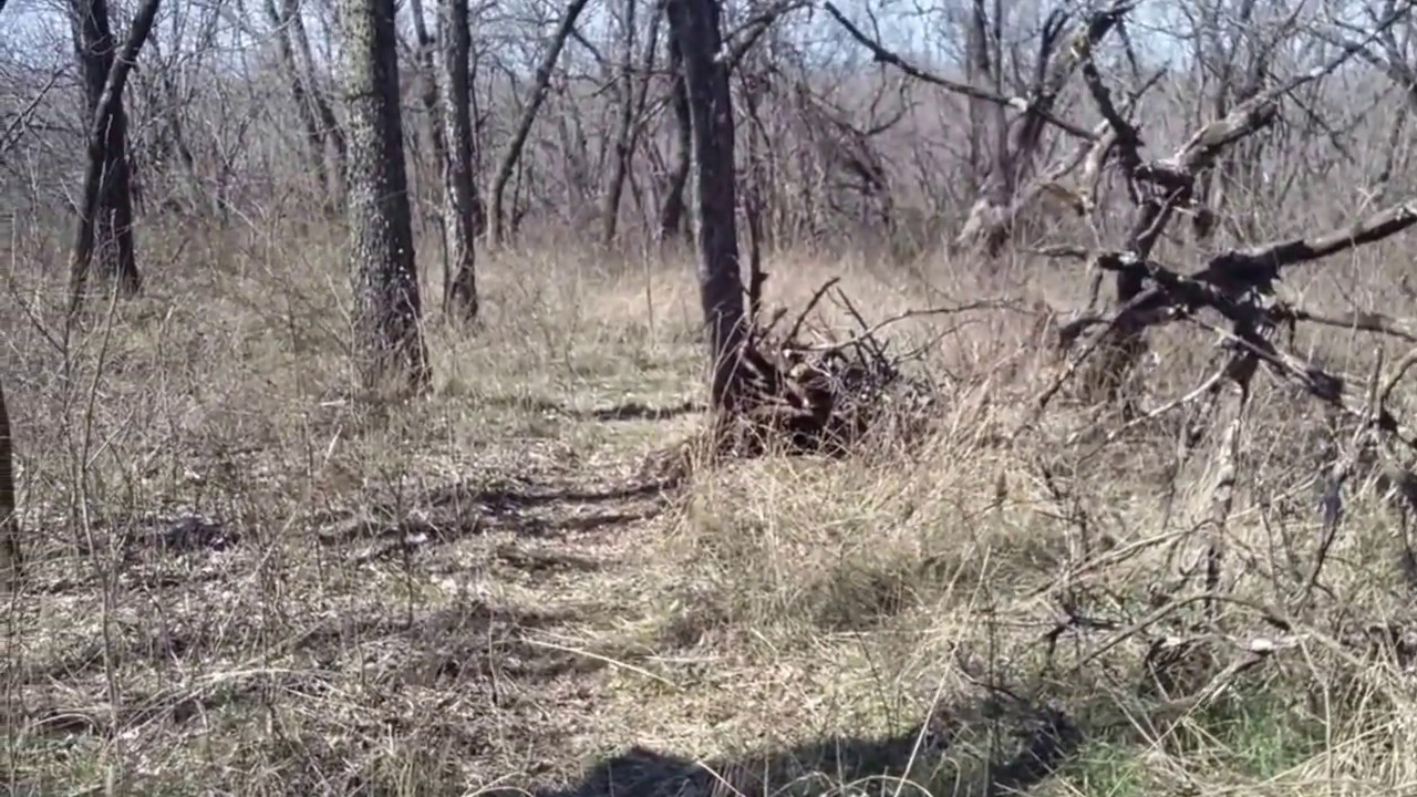 Missouri trapping - YouTube
