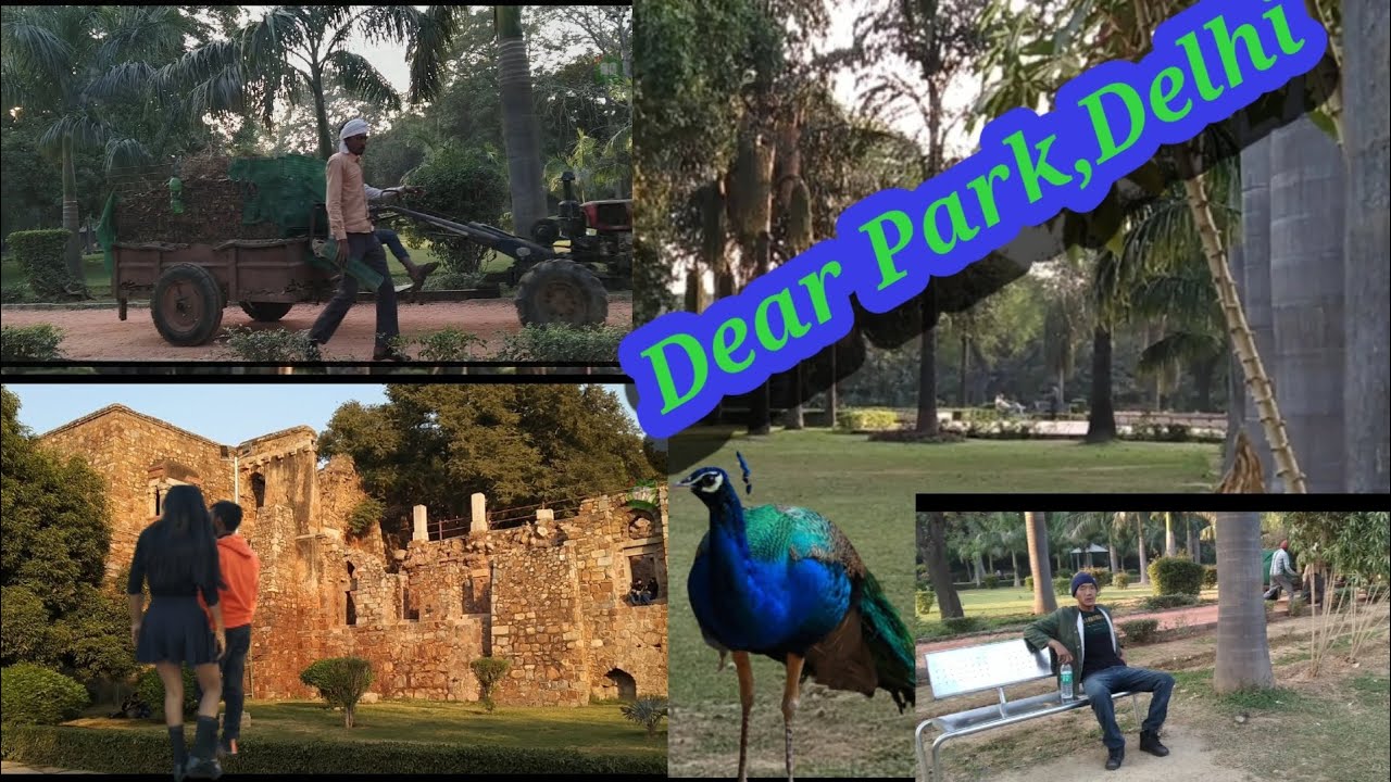 Dear park,Delhi |Dear park,Delhi ||.# amazing view...... - YouTube