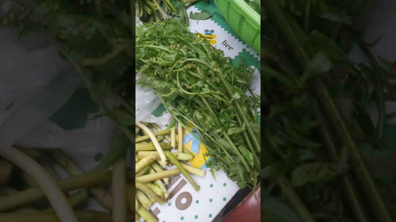 fresh from the farm | gulay - YouTube
