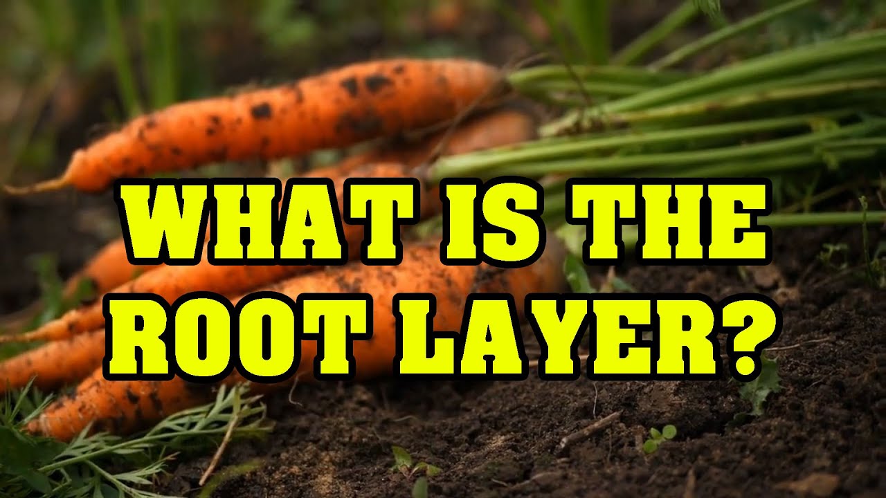 The Underground Layer : Tubers and Roots in your Permaculure Food ...