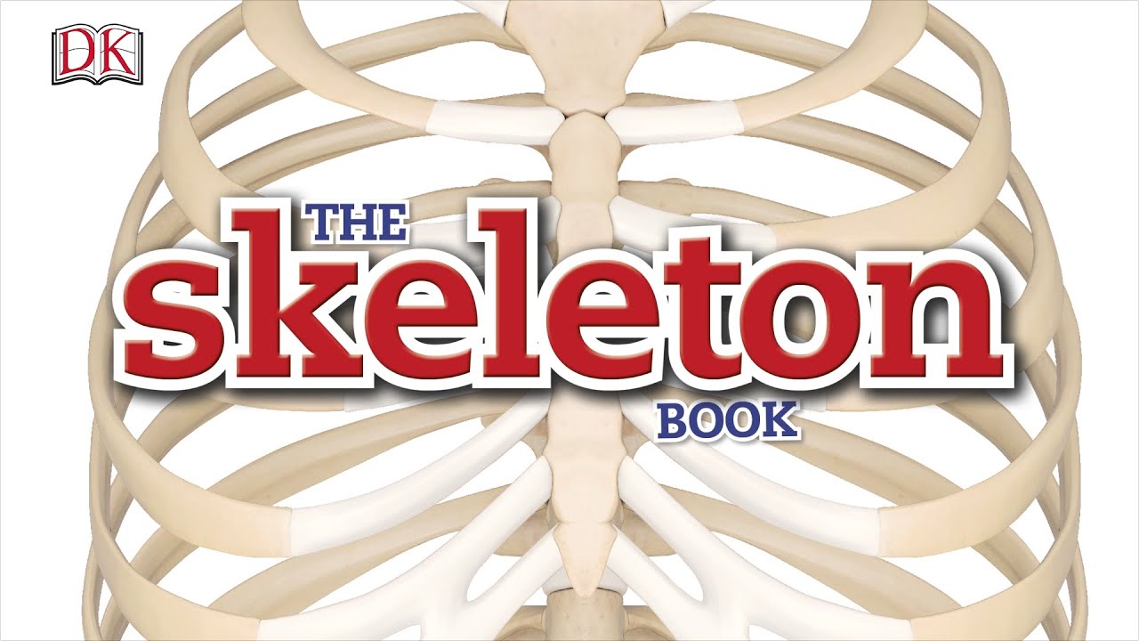 The Skeleton Book with Robert Winston - YouTube