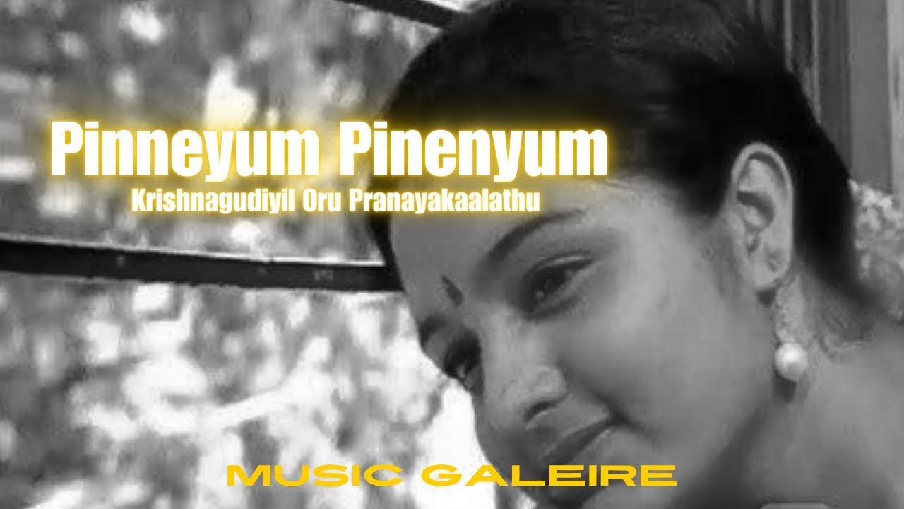 Pinneyum pinneyum || Lofi || Music Galerie || Krishnagudiyil Oru ...