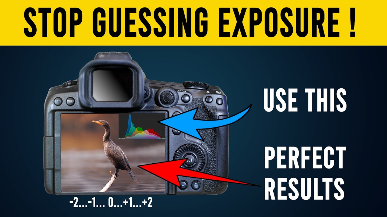 Stop Guessing Exposure Master Histogram, Highlight Warnings & Exposure ...