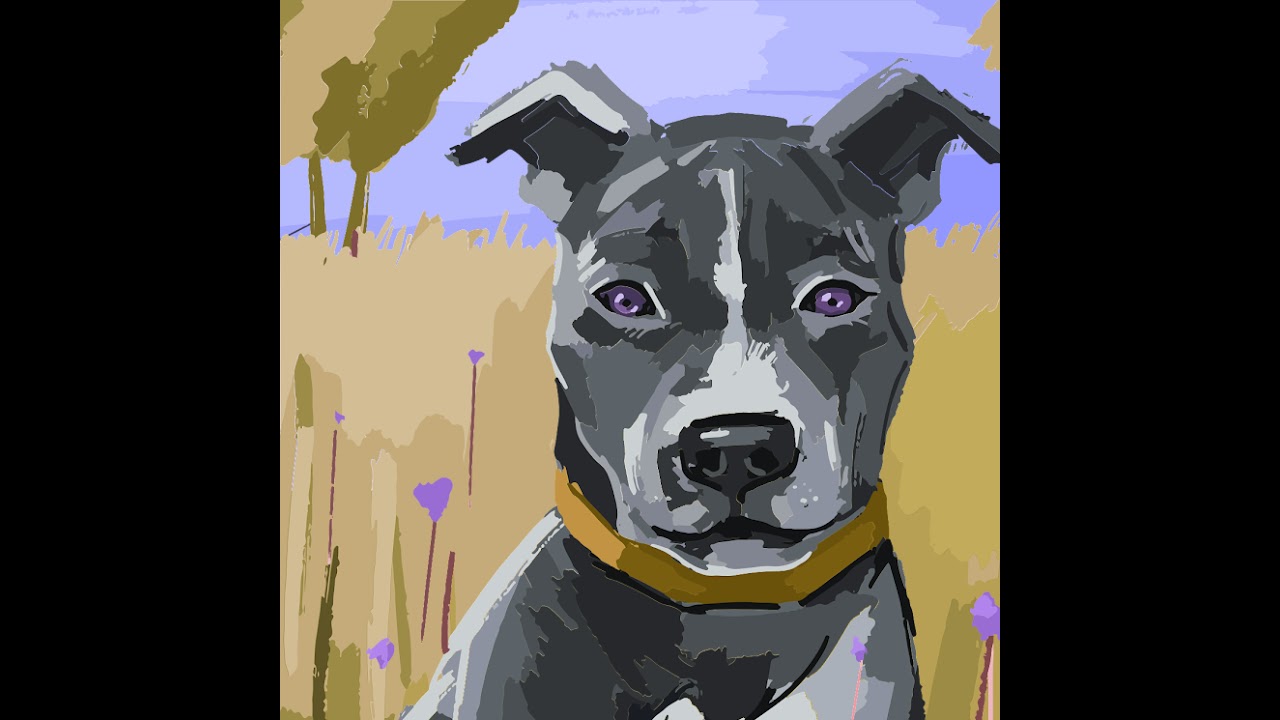 keegan cool Live Stream - YouTube