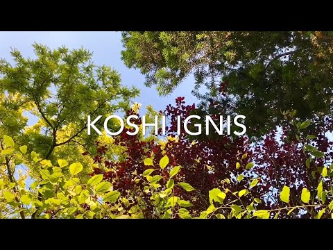 KOSHI CHIMES | Koshi Ignis Tuned Wind Chimes | Koshi Bells Meditation ...