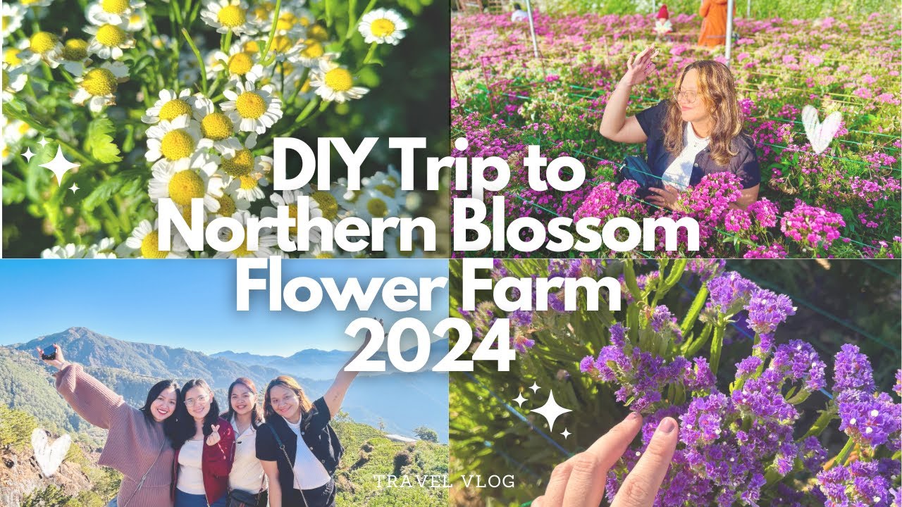 DIY Trip to Northern Blossom Flower Farm 2024 🌻🌸🌺🌼 - YouTube