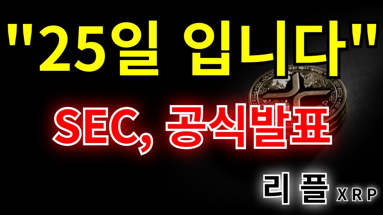 리플 Xrp Sec 공식 발표 25일 비공개 회의 개최 리플 리플전망 리플코인 리플코인전망 Youtube
